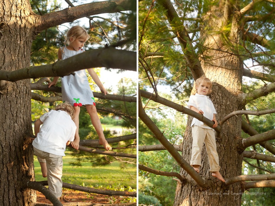 climbing trees - Mischief and Laughs Photography