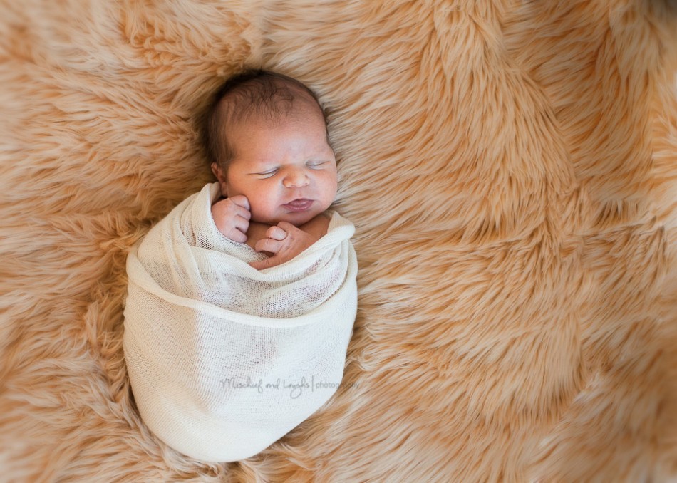 Very Hungry Caterpillar Baby, Cincinnati Newborn Photographer