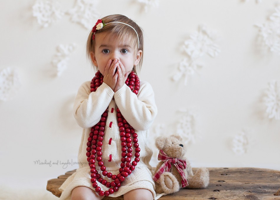 Winter Wonderland Christmas Mini Sessions - Mischief and Laughs Photography