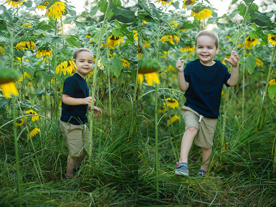 Mini Photo Sessions, Cincinnati Family Photographer